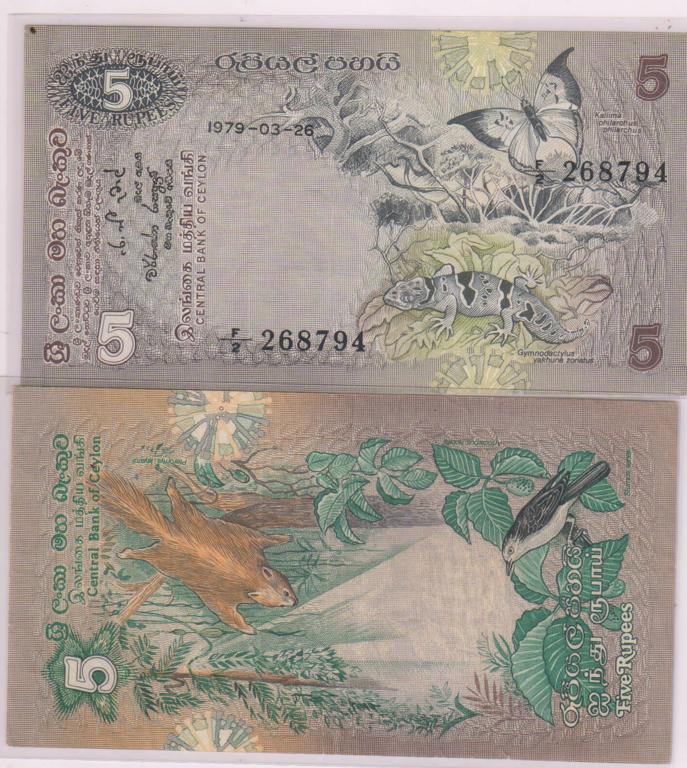 Sri Lanka 5 rupees 1979 xf currency note - KB Coins & Currencies